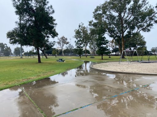 Mira Mesa Community Champions